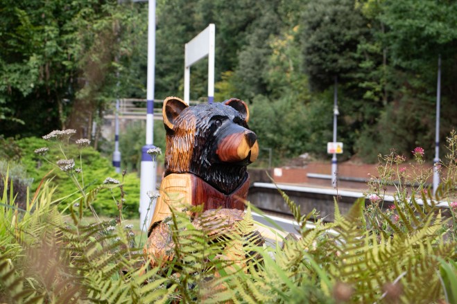 Along The Railway Line | South East Mainline | Elmstead Woods Railway ...